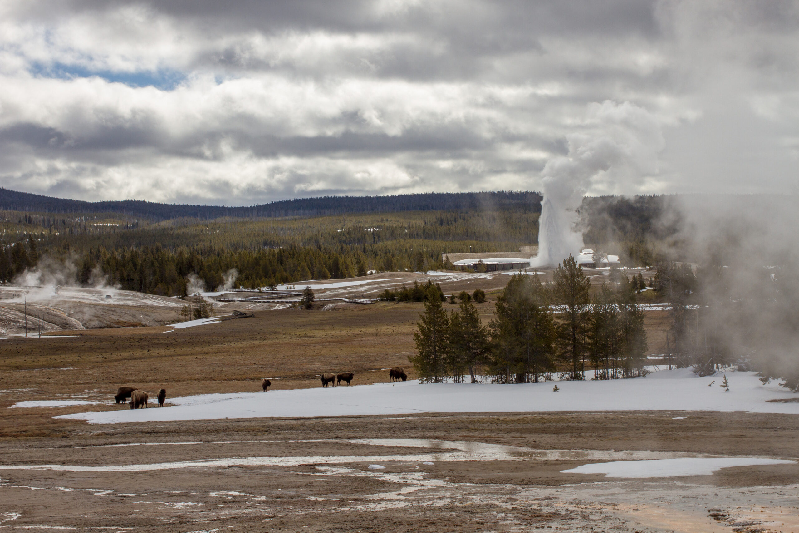 6 Geysers along Yellowstone’s Grand Loop you don’t want to miss ...