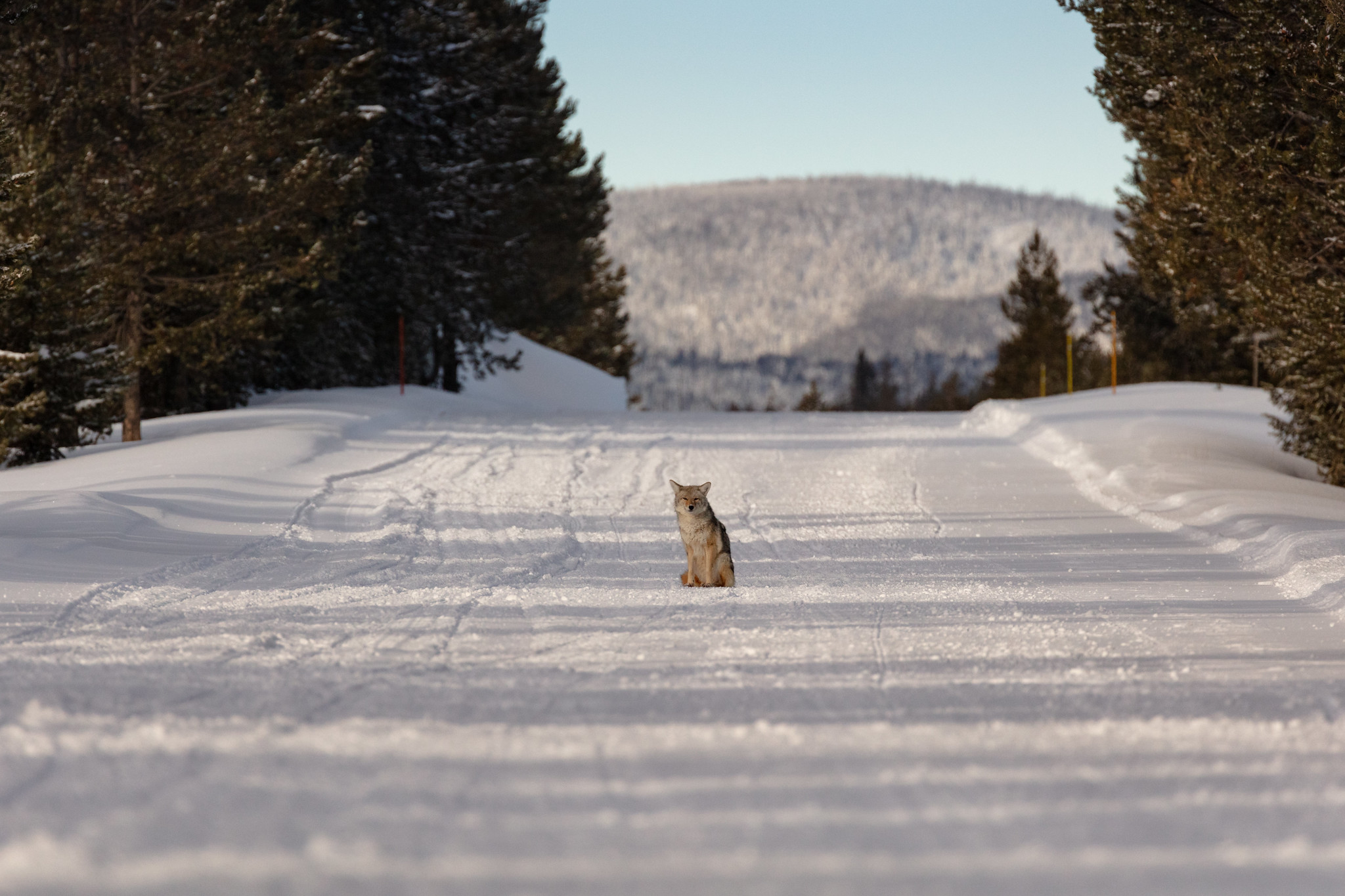 What you need to know about seasonal closures and winter activities in ...