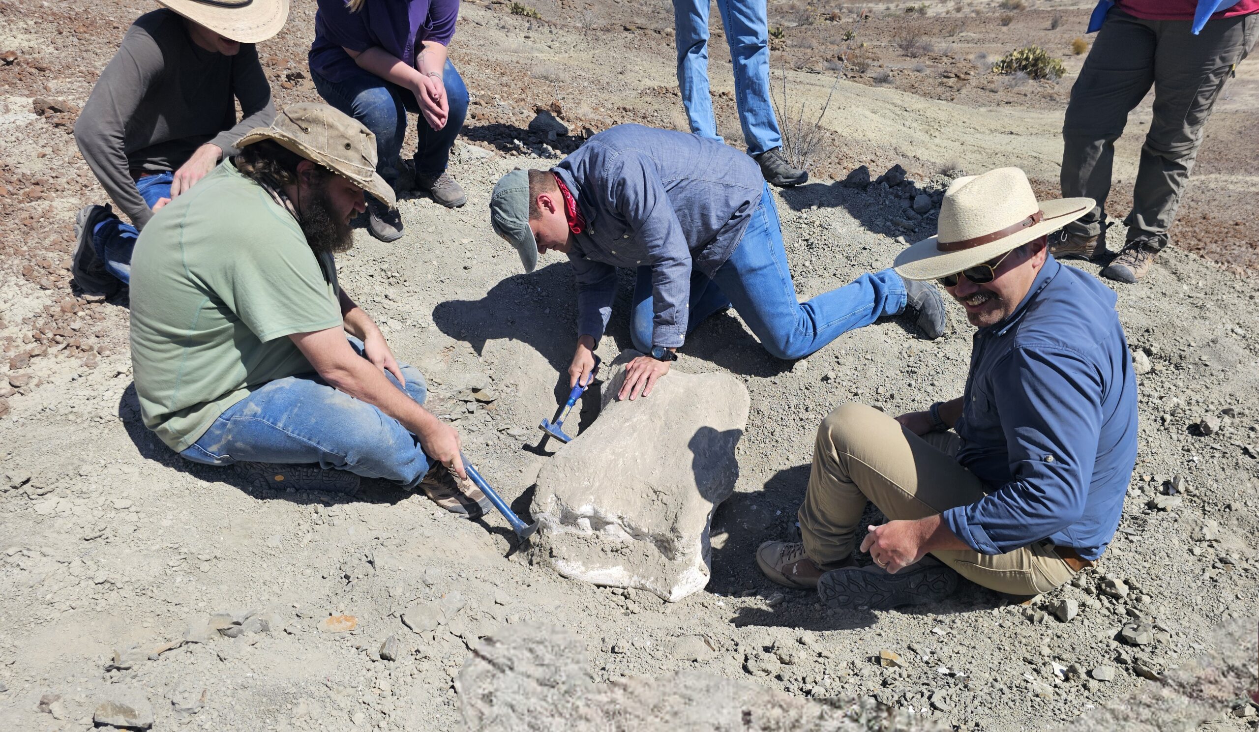 New dinosaur fossil uncovered in Big Bend National Park - National Park ...