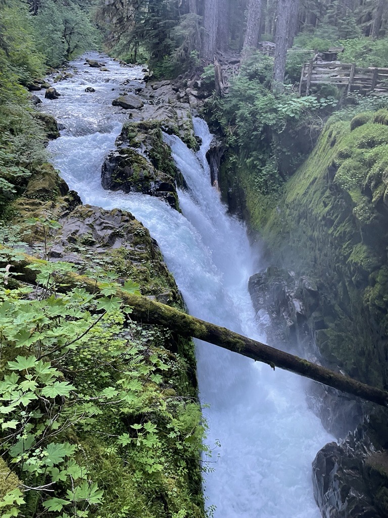 Search and Rescue teams prepare recovery at Sol Duc Falls after fatal ...